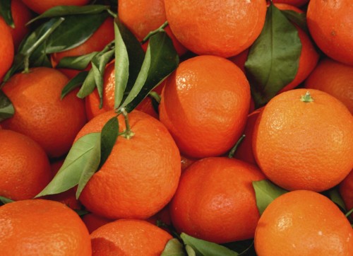 IN STOCK NOW Seville Bitter Oranges | Robinson's | Isle of Man